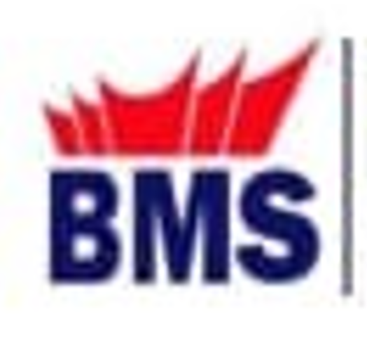 Lowongan Kerja PT Bukittinggi Mandiri Sejahtera (BMS) - WINGS Group